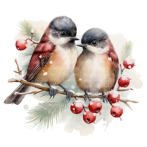 20 Various Christmas Birds Clipart, Robin, Printable Watercolor Clipart ...