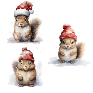 14 Squirrel Christmas Hat Clipart, Printable Watercolor Clipart, High ...