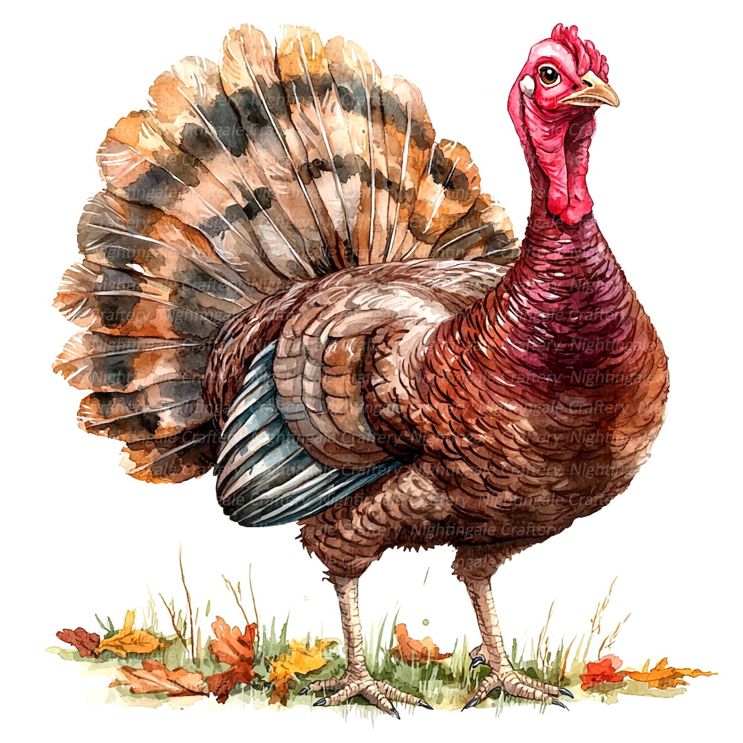 10 Thanksgiving Turkey Clipart, Thanksgiving Print, Printable ...