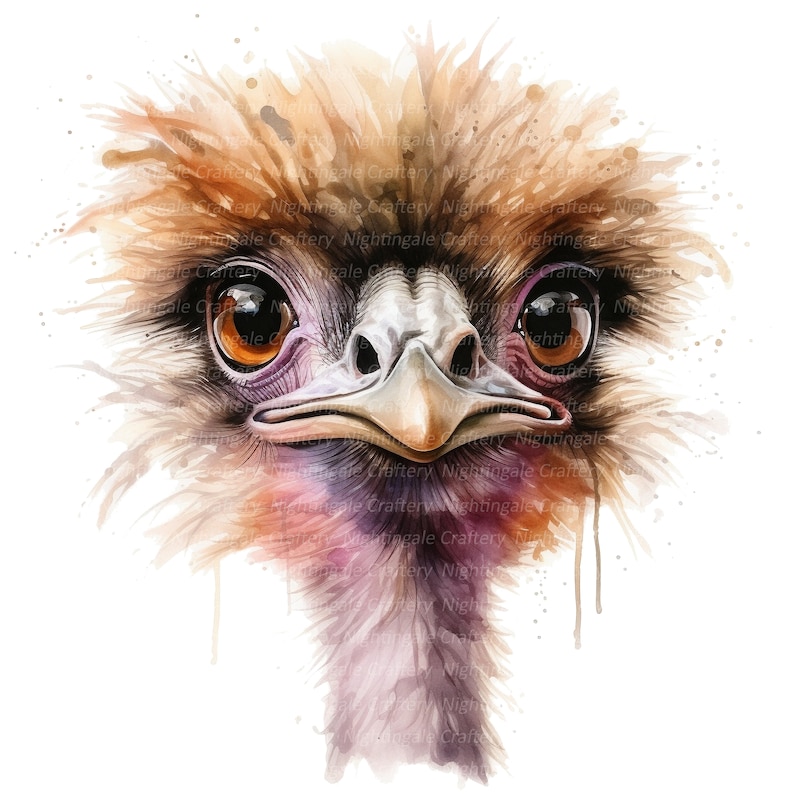 Ostrich Transfers - Etsy UK