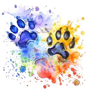 15 Dog Paw Clipart, Paw Print, Cat Paw, Printable Watercolor Clipart ...