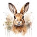 10 Surprised Hare Clipart, Amazed Rabbit, Printable Watercolor Clipart ...