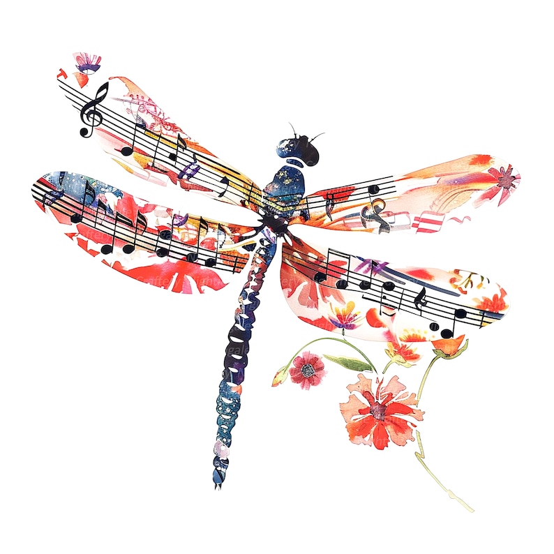 14 Dragonfly Music Notes Clipart, Wall Print, Printable Watercolor ...