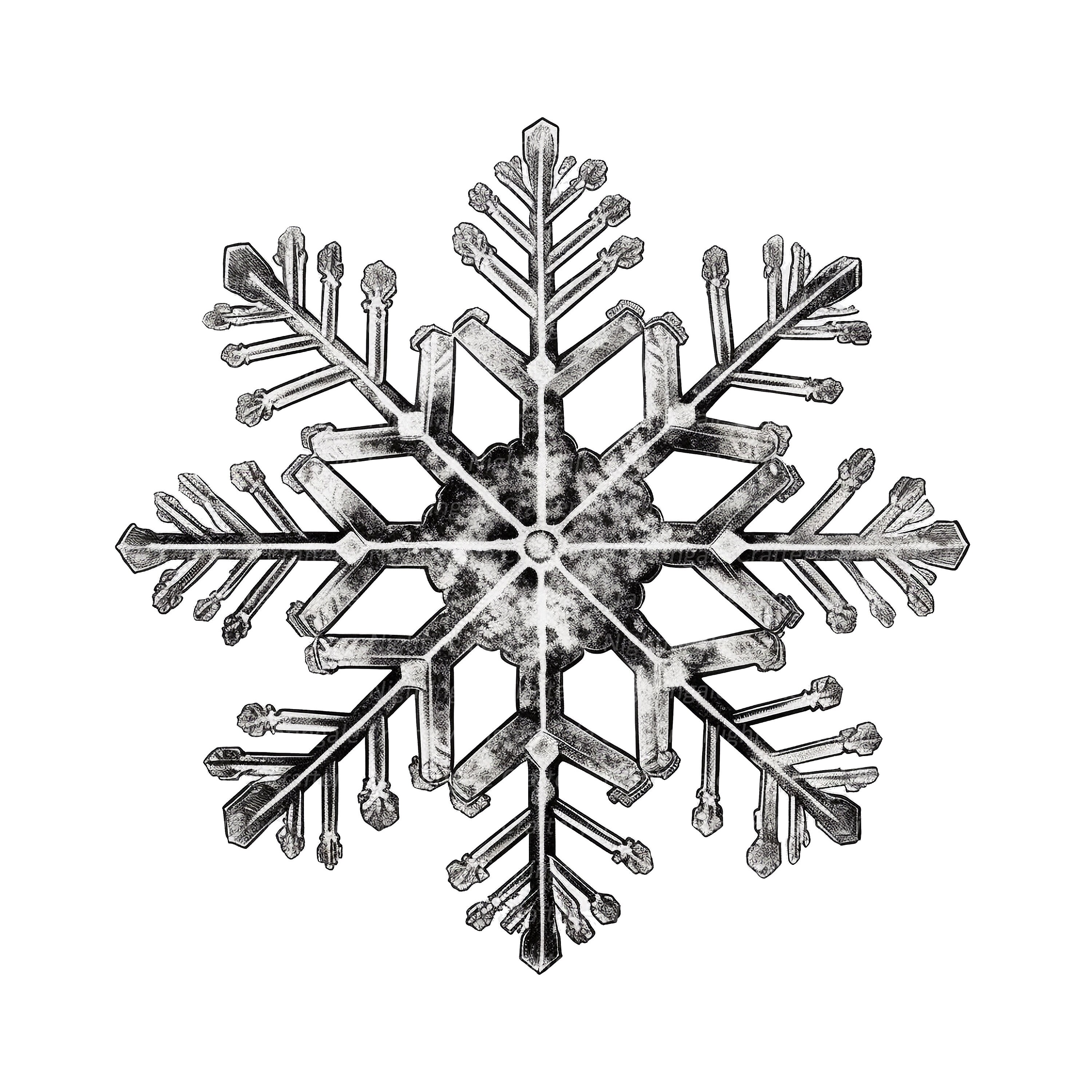 14 Black White Snowflakes Clipart, Christmas Print, Printable ...