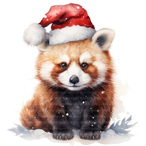 10 Red Panda With Santa Hat Clipart, Printable Watercolor Clipart, High ...