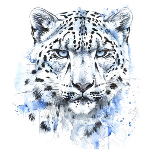 8 Snow Leopard Clipart, Blue Ink Leopard, Printable Watercolor Clipart ...