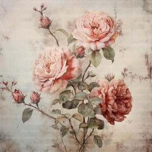 18 Vintage Roses Background Papers, 12 X 12 Digital Paper Pack, Junk ...