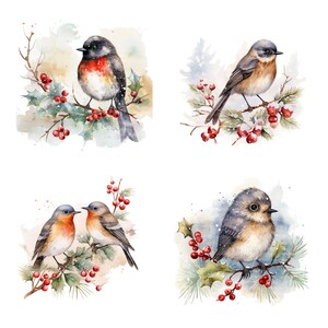 20 Various Christmas Birds Clipart, Robin, Printable Watercolor Clipart ...