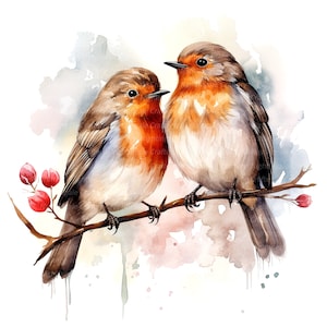 10 Christmas Robin Love Clipart, Printable Watercolor Clipart, High ...