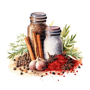 13 Spice Bottles Clipart, Kitchen Spices Clipart, Digital Clipart ...