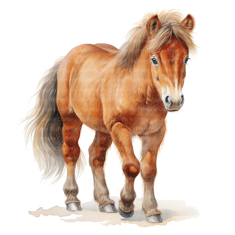 14 Pony Clipart Realistic Pony Images Printable Watercolor - Etsy
