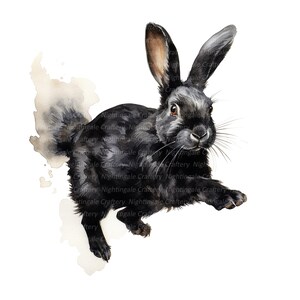 10 Black Bunny Clipart, Black Rabbit Clipart, Printable Watercolor ...