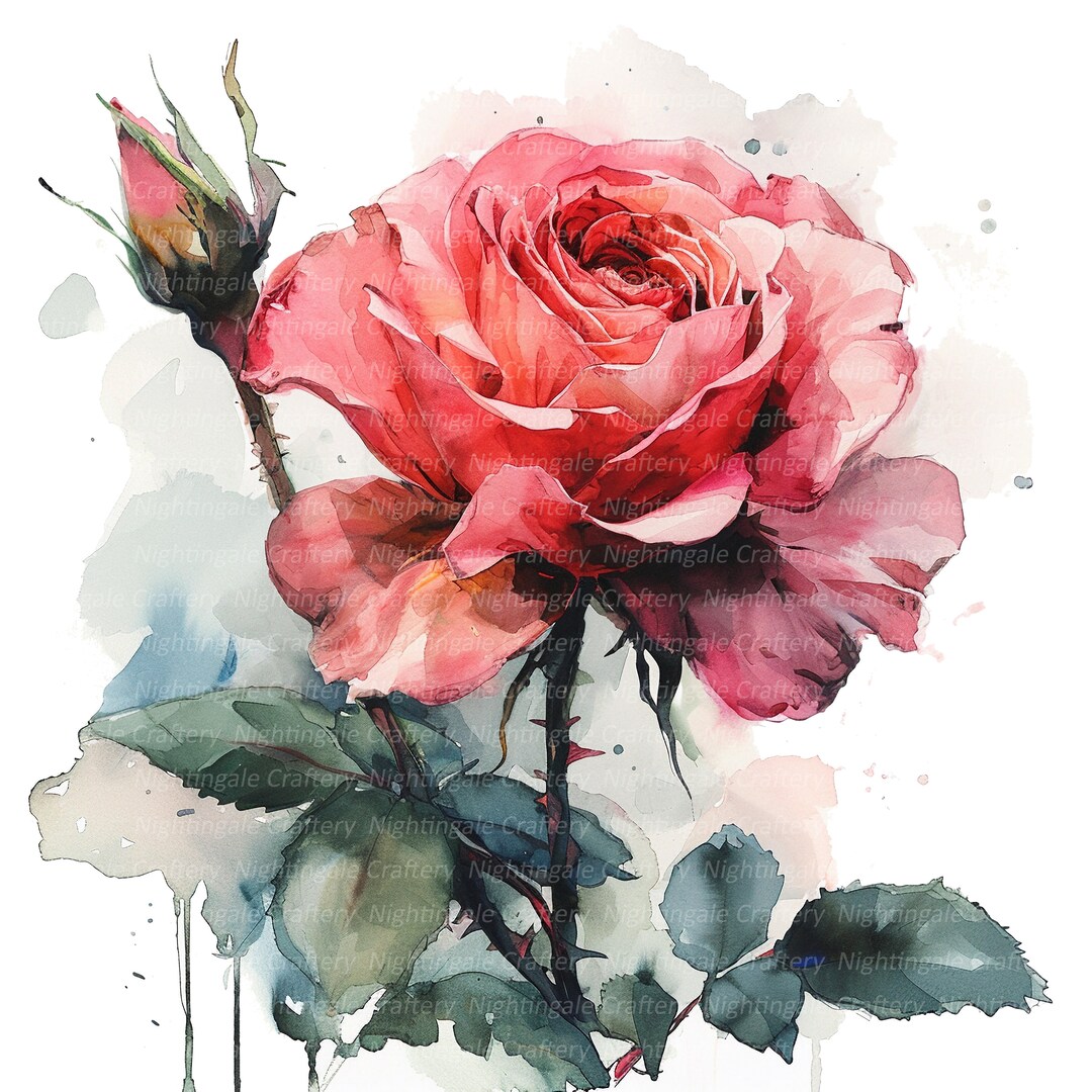 11 Red Rose Drawing Clipart, Rose Clipart, Printable Watercolor Clipart ...