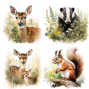 200+ Forest Animals Clipart Pack, 20 Collections, Printable Watercolor ...