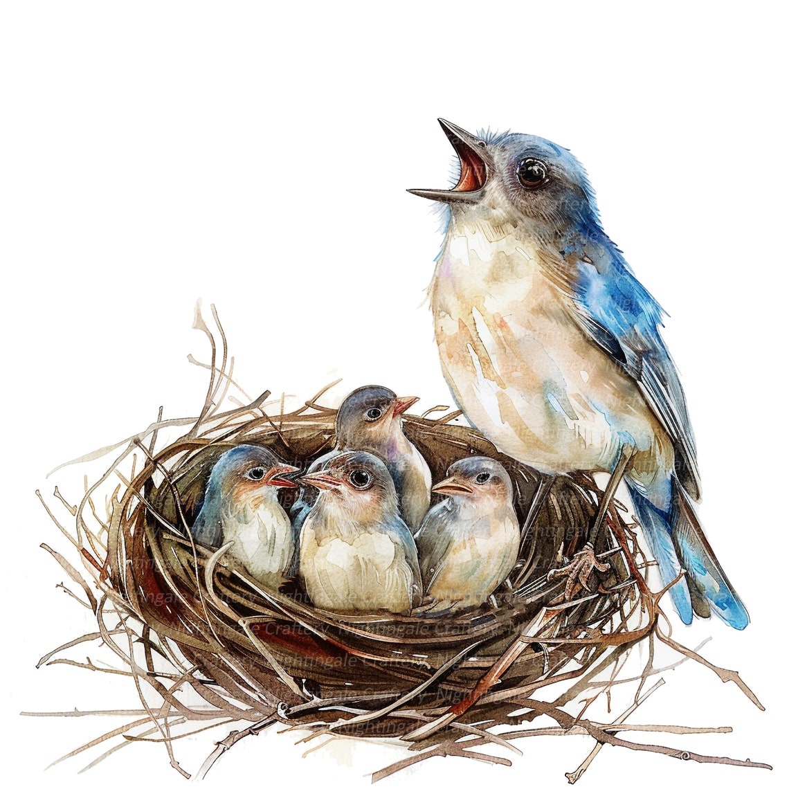 9 Birds in Nest Clipart, Bird Feeding Clipart, Printable Watercolor ...