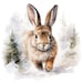 12 Hare in Winter Clipart, Printable Watercolor Clipart, High Quality ...