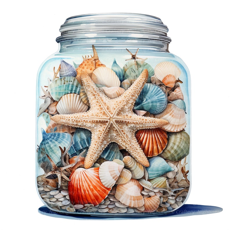 9 Seashells in Jar Clipart, Sea Shells Clipart, Printable Watercolor ...