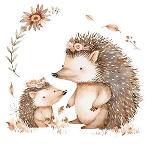 9 Hedgehog Family Cartoon Clipart, Boho Hedgehog, Printable Watercolor ...