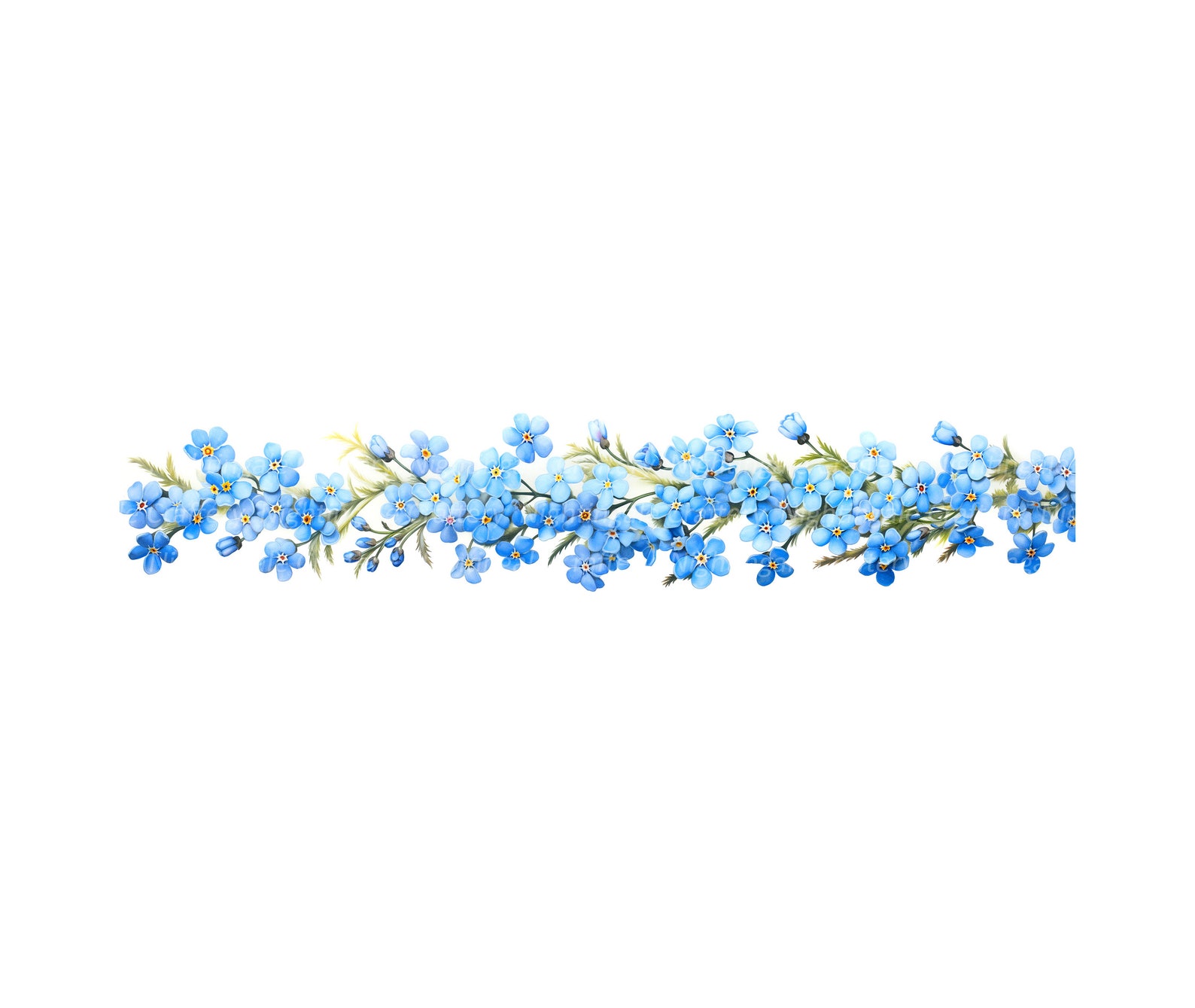 Floral Border, Forget Me Not Border, Digital Clipart, Watercolor ...