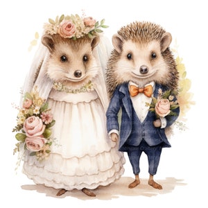 10 Cute Hedgehog Wedding Clipart, Printable Watercolor Clipart, High ...