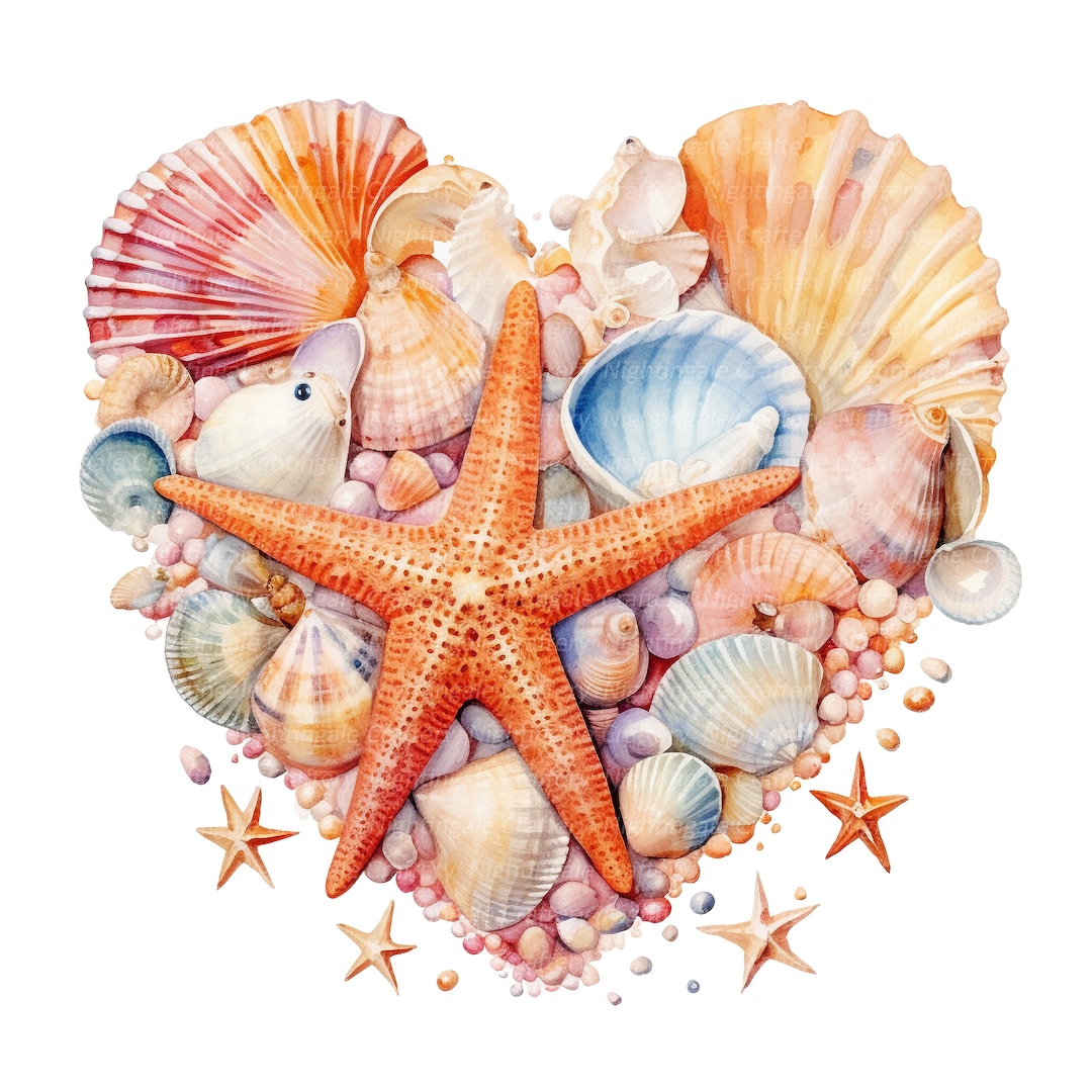 14 Sea Shells Heart Clipart, Seashell Clipart, Printable Watercolor ...