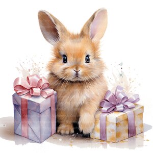 14 Bunny and Gifts Clipart, Rabbit Clipart, Printable Watercolor ...