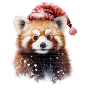 10 Red Panda With Santa Hat Clipart, Printable Watercolor Clipart, High ...