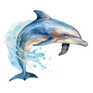 12 Dolphin Clipart, Dolphin Playing Clipart, Printable Watercolor ...