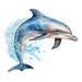 12 Dolphin Clipart, Dolphin Playing Clipart, Printable Watercolor ...