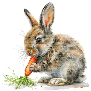 10 Bunny With Carrot Clipart, Rabbit Clipart, Printable Watercolor ...