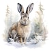 12 Hare in Winter Clipart, Printable Watercolor Clipart, High Quality ...