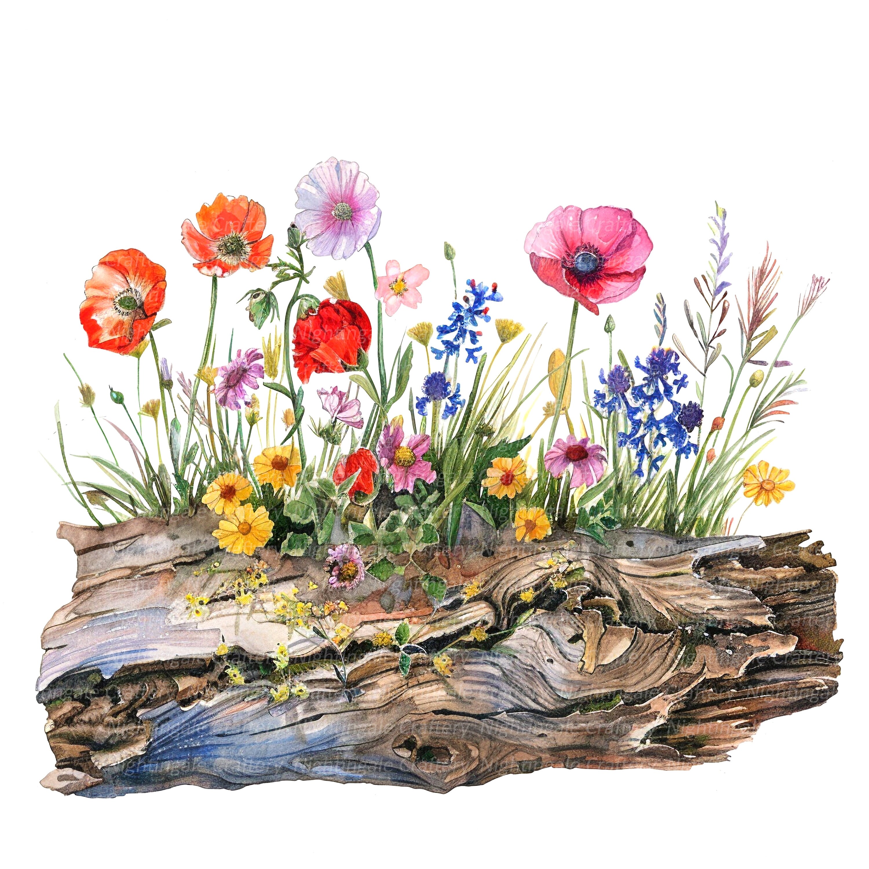 12 Wildblumen auf Log Clipart Set 2, Wildblumen, druckbare Aquarell ...