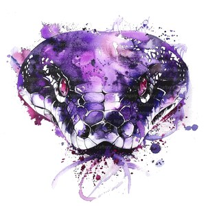 8 Purple Snake Clipart, Snake Eyes, Cobra Print, Printable Watercolor ...