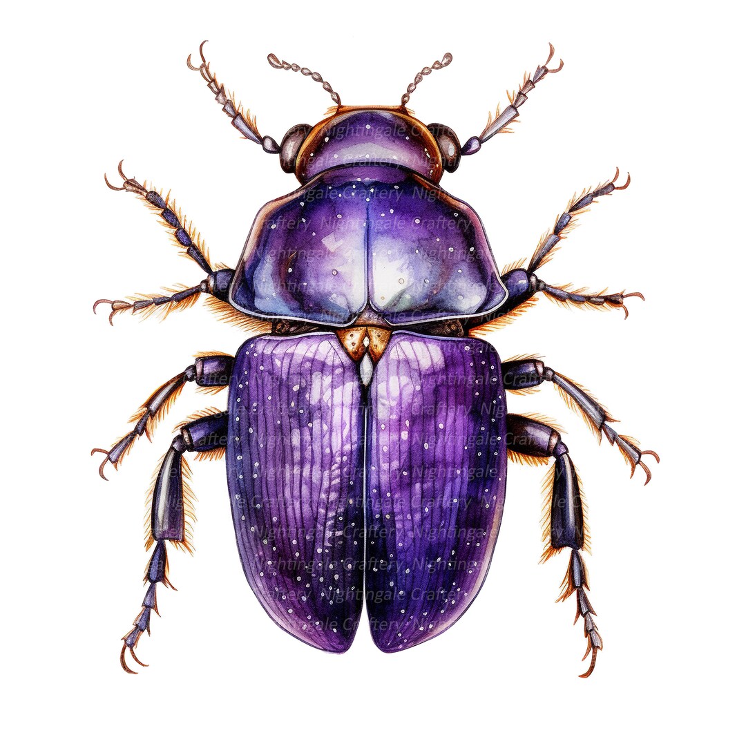 16 Adorable Beetles Clipart, Scarab Beetle, Printable Watercolor ...