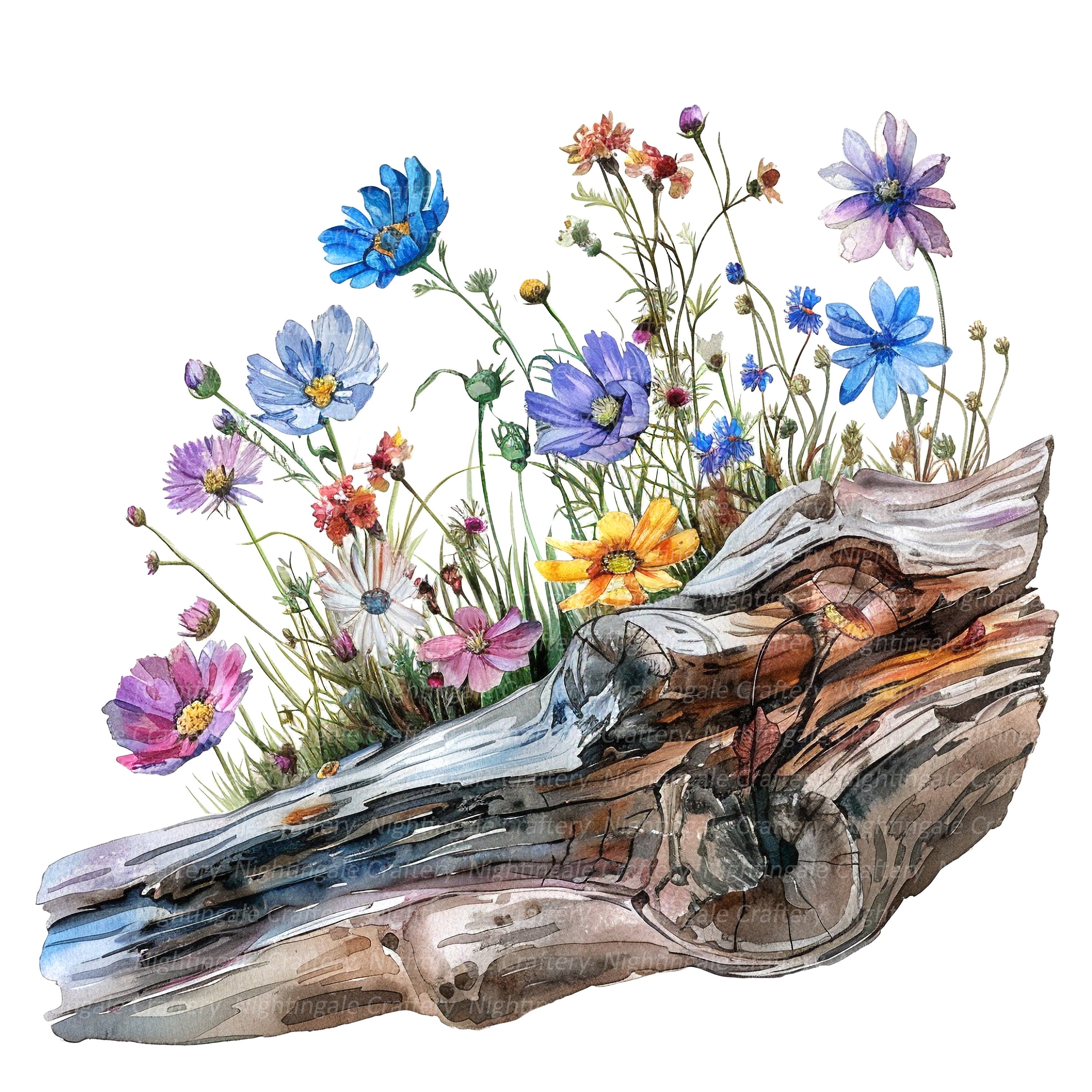 12 Wildblumen auf Log Clipart Set 2, Wildblumen, druckbare Aquarell ...
