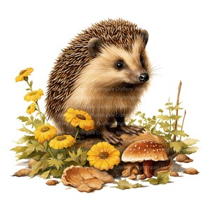 Cute Hedgehog Autumn Clipart, Printable Watercolor Clipart, 10 High ...