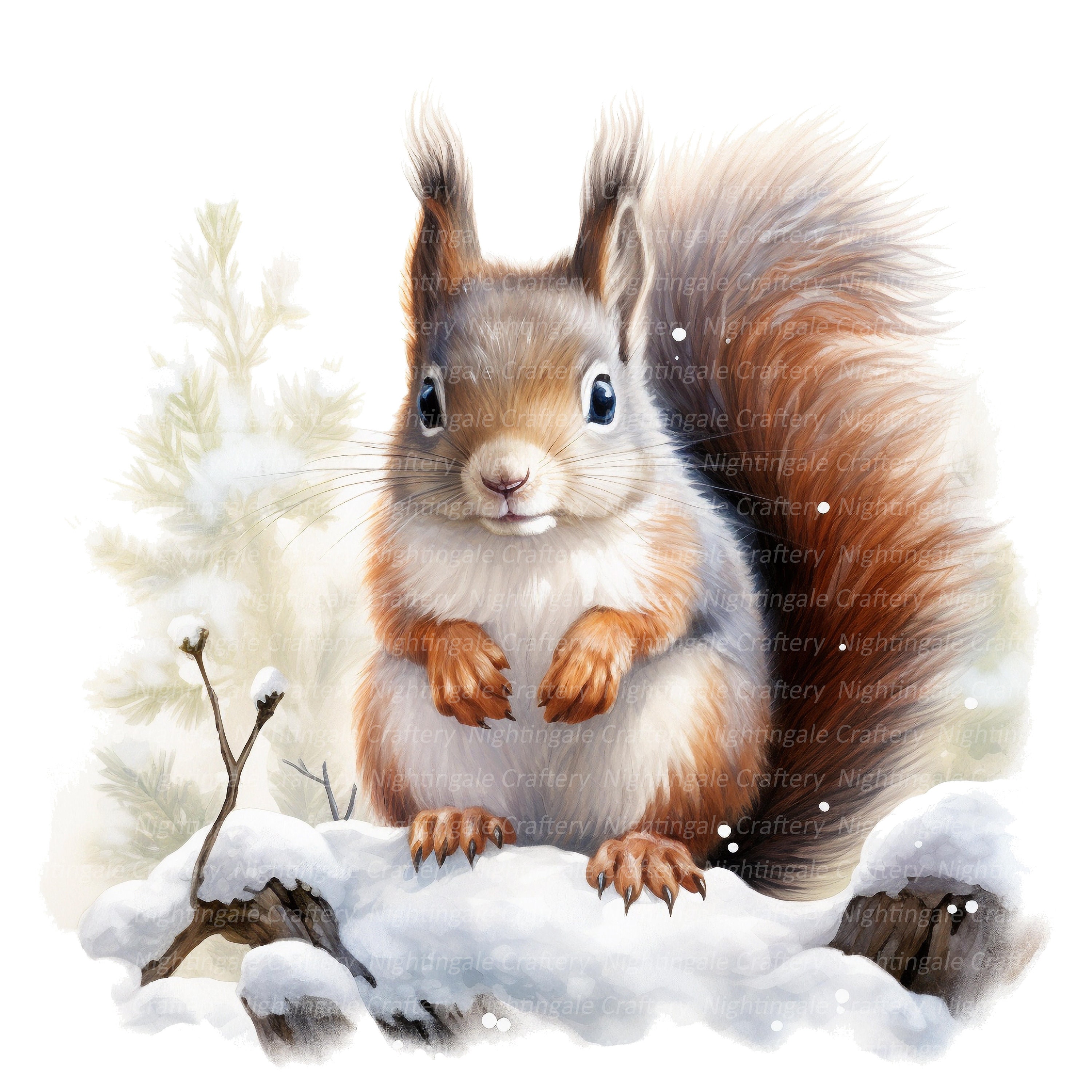 12 Cute Squirrel in Winter Clipart Printable Watercolor - Etsy UK