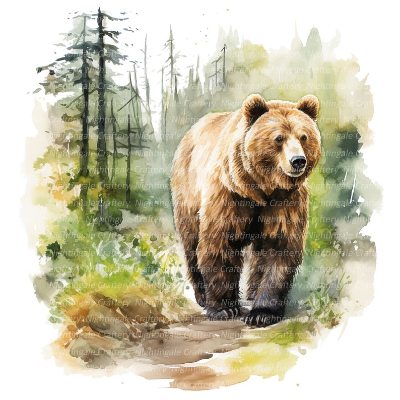 Bear in Forest Clipart Printable Watercolor Clipart 10 High - Etsy