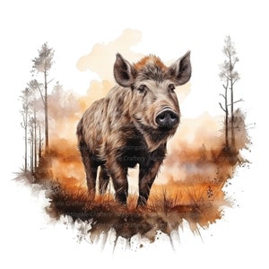 12 Wild Boar in Sunset Clipart, Printable Watercolor Clipart, High ...