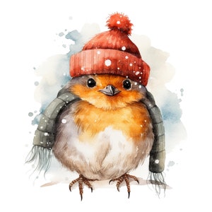 12 Robin in Wool Hat Clipart, Christmas Robin, Printable Watercolor ...
