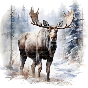 10 Moose in Winter Clipart, Printable Watercolor Clipart, High Quality ...