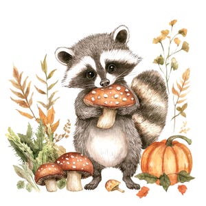 12 Harvest Raccoon Clipart, Thanksgiving Clipart, Printable Watercolor ...