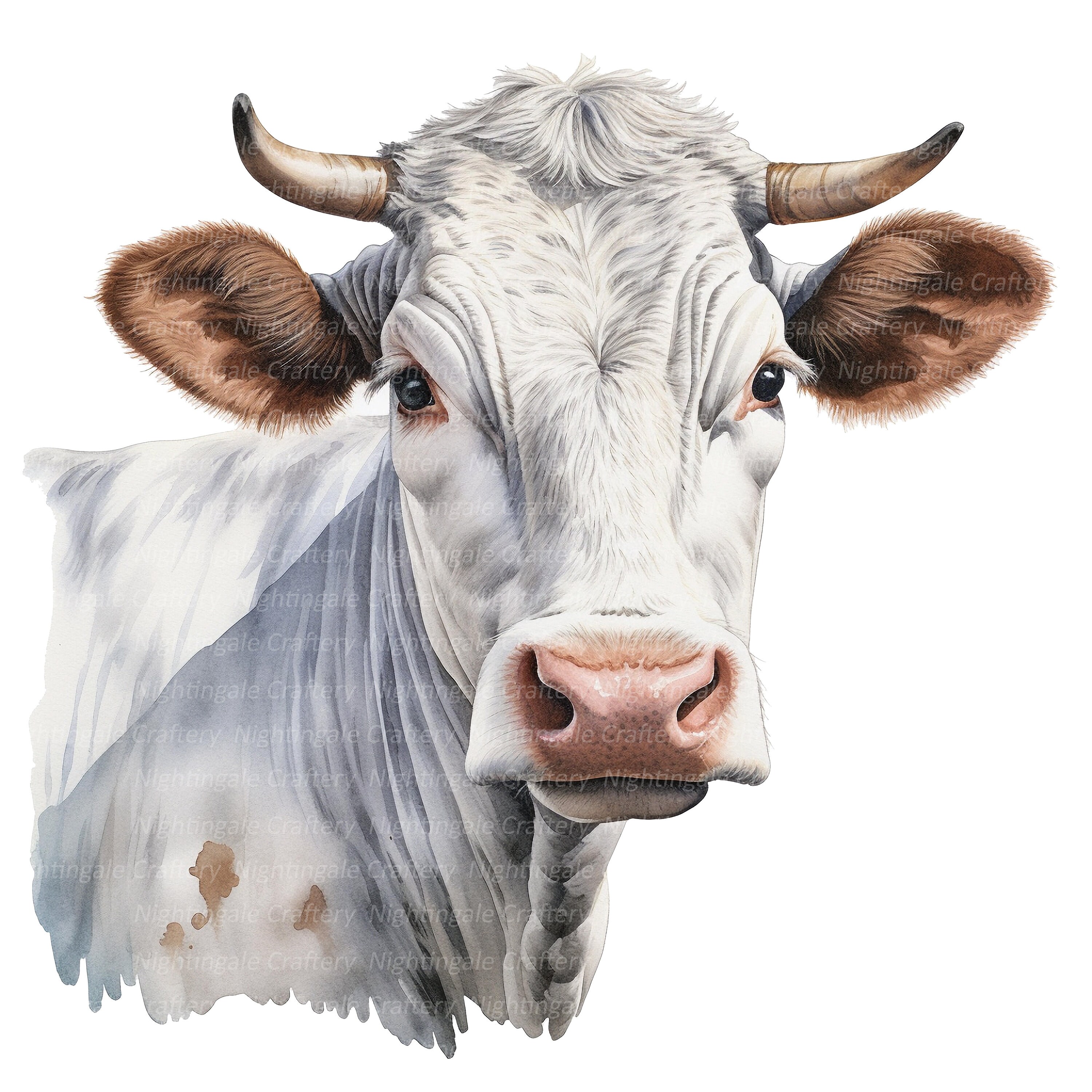 14 Cow Clipart Farm Clipart Printable Watercolor Clipart - Etsy Australia