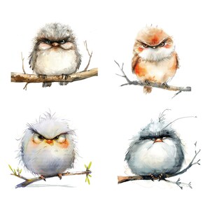 16 Grumpy Bird on Branch Clipart, Digital Clipart, Watercolor Clipart ...