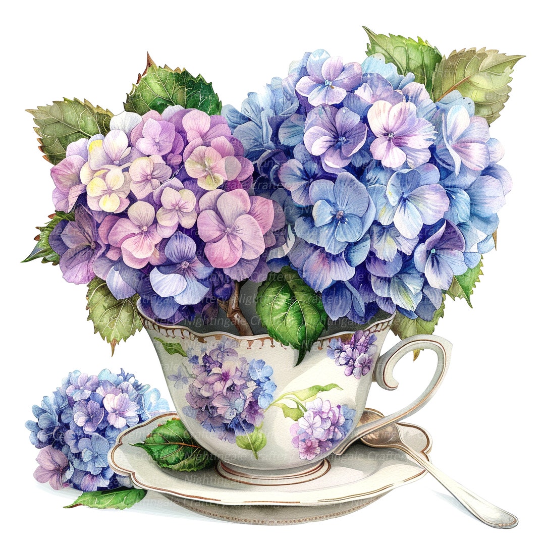 10 Hydrangea in Tea Cup Clipart, Floral Tea Cup, Printable Watercolor ...