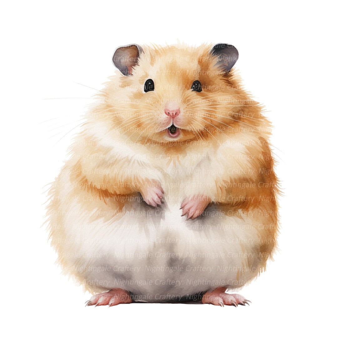 12 Fat Hamster Clipart, Printable Watercolor Clipart, 10 High Quality ...