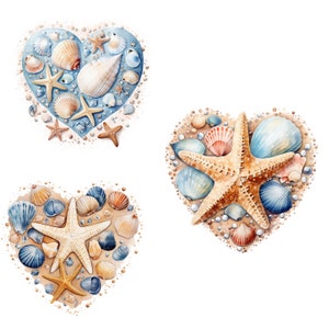 14 Sea Shells Heart Clipart, Seashell Clipart, Printable Watercolor ...