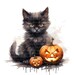 14 Cat and Pumpkin Clipart, Halloween Clipart, Printable Watercolor ...