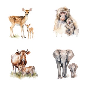 16 Baby Animals Clipart, Safari for Nursery, Farm Animals, Printable ...