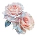 10 White Roses Clipart Set 2, Roses Bouquet, Printable Watercolor ...